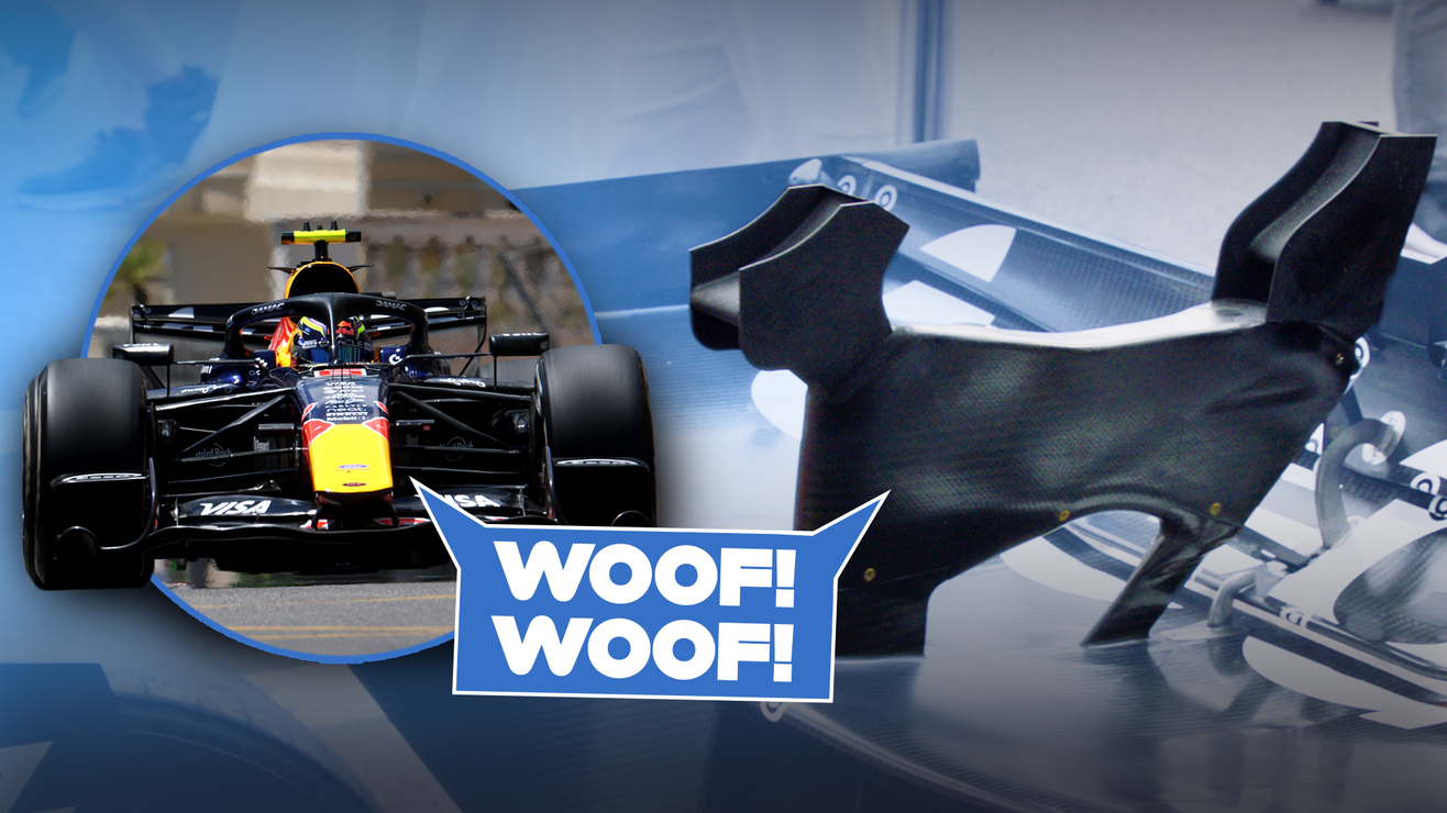 Insider Intel: Horses & F1? Sam Collins has the answers