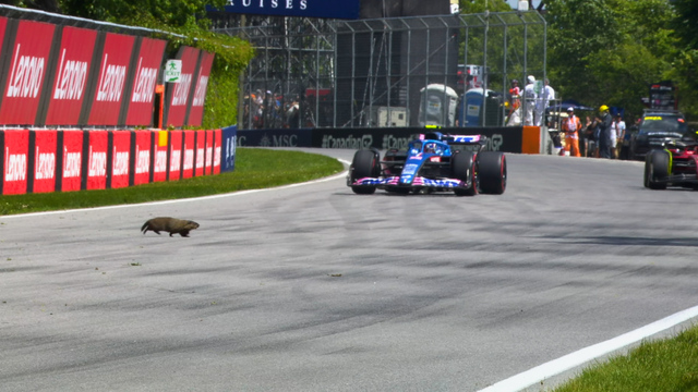 2022 Canadian GP FP1: Alonso and Sainz have near-miss with groundhog ...